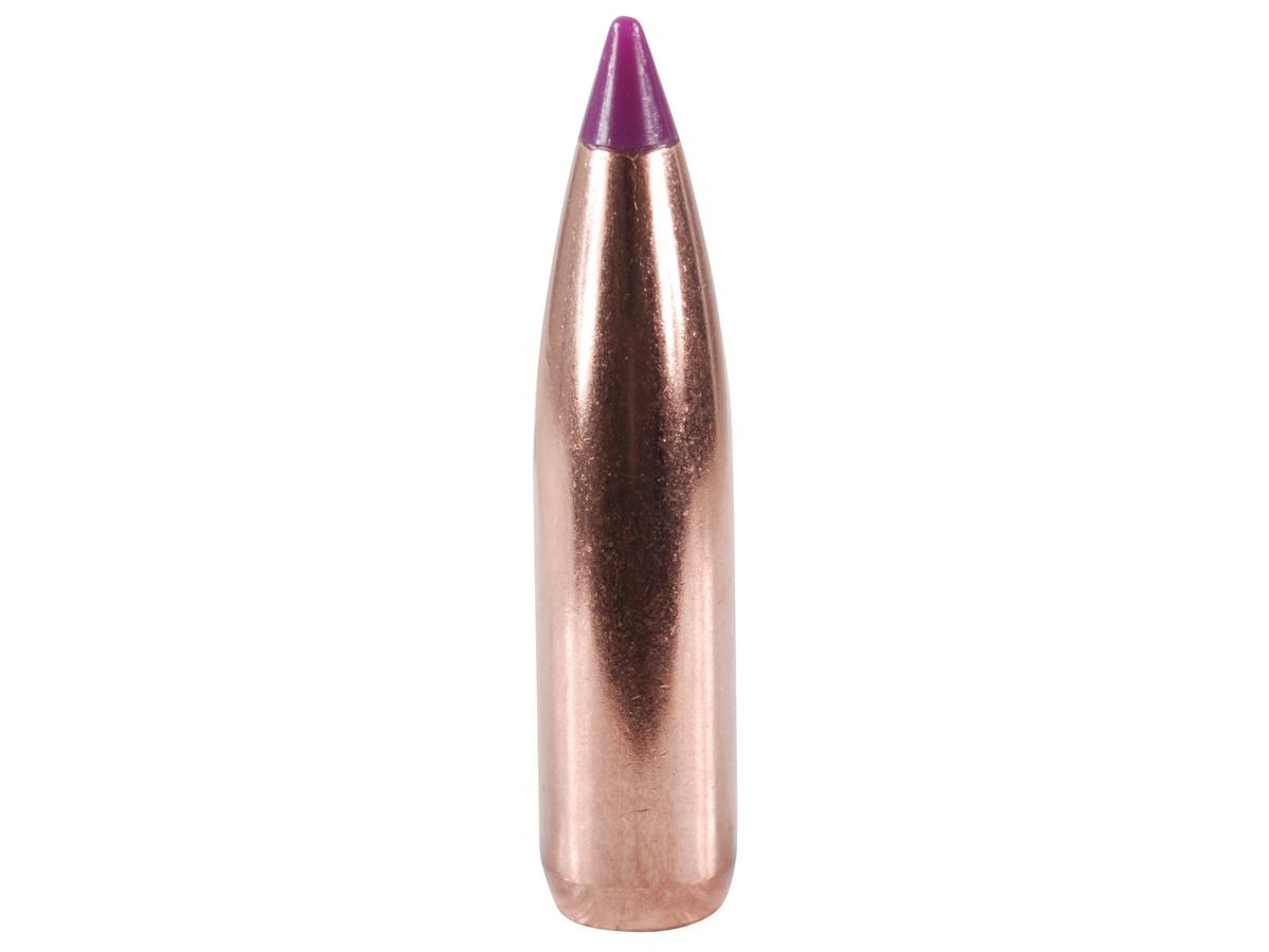 Nosler 6mm Ballistic Tip Projectiles 95gr Box 50 – BushWear