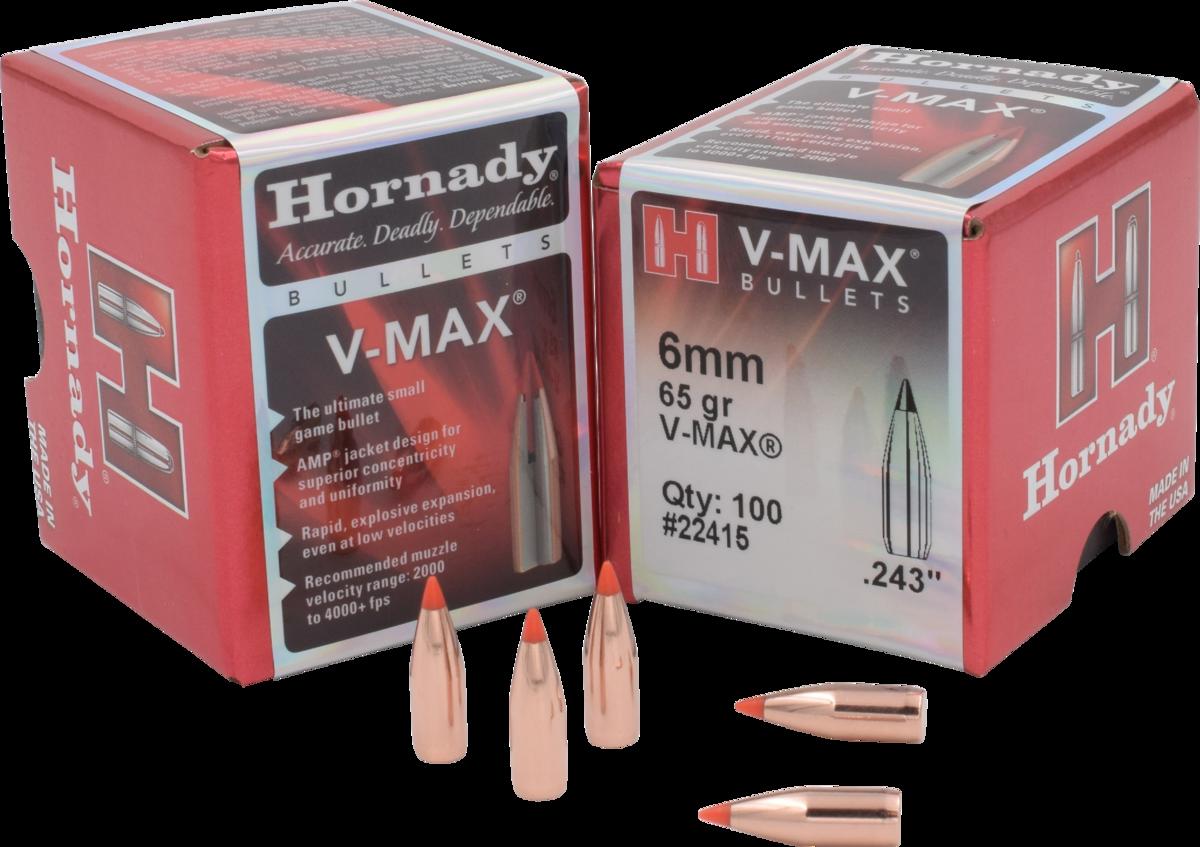 Hornady 6MM 65gr v-max – BushWear