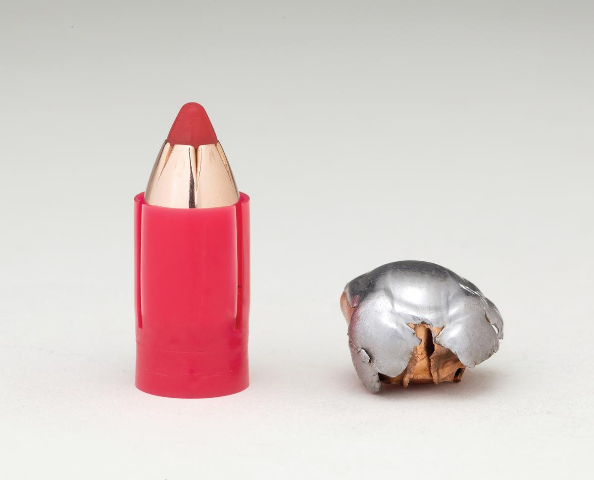 Hornady 50 Cal Sabot Low Drag with 45 Cal 250 SST® Bullet – BushWear