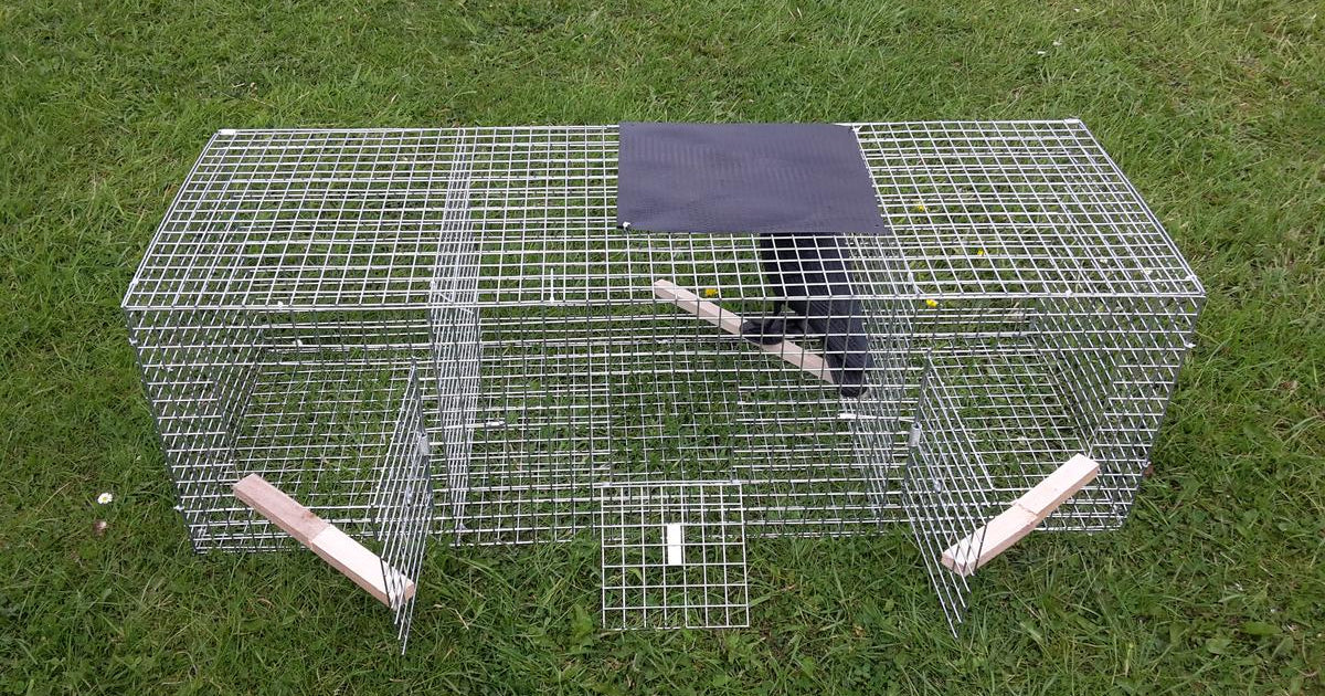 Trap Man Corvid Larsen Cage Trap (Side Entry) 2 bird catch – BushWear
