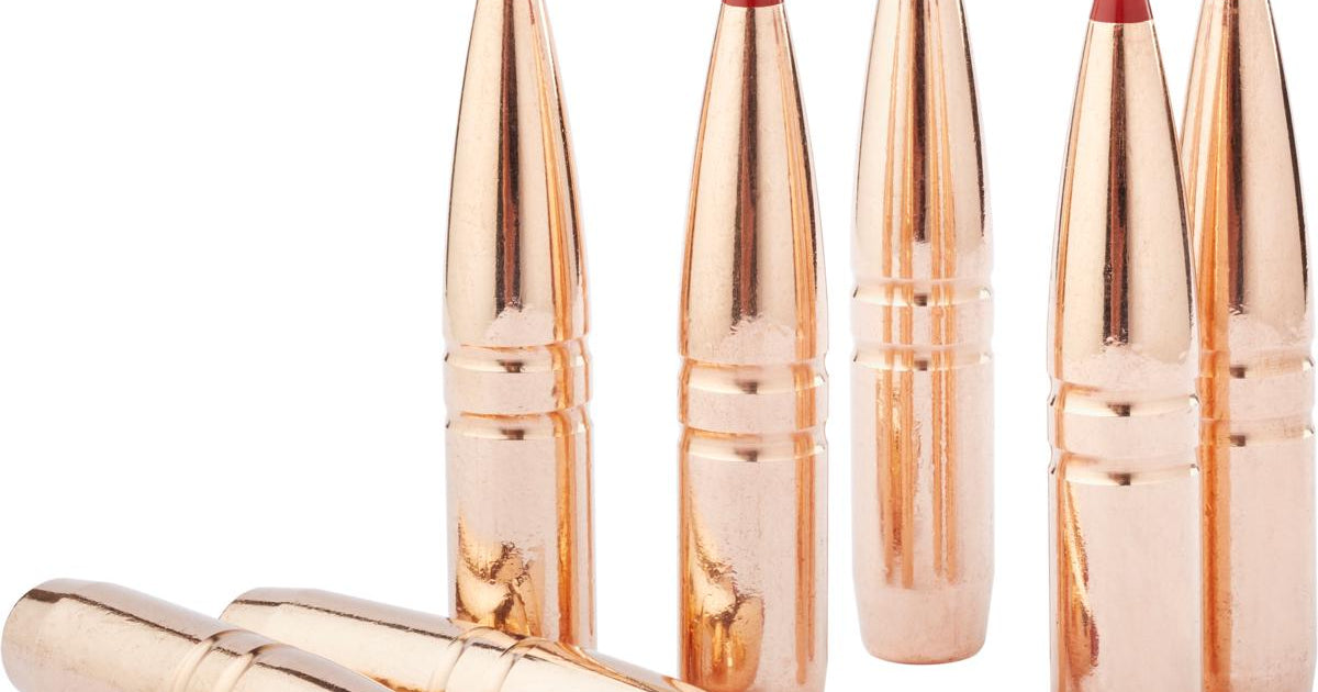 Hornady 30 Cal .308 110 gr CX™ – BushWear