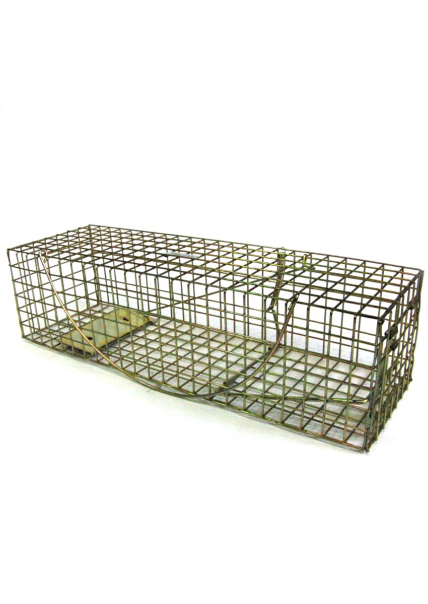 Traps – BushWear
