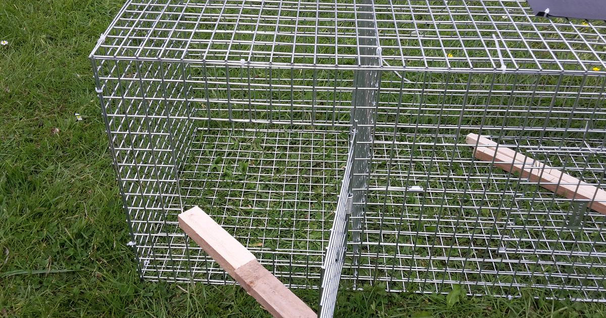 Trap Man Corvid Larsen Cage Trap (Side Entry) 2 bird catch – BushWear